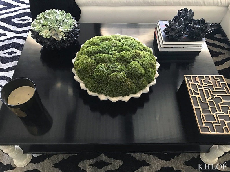 Learn How to Make a Moss Table Display Tutorial Video Moss - Etsy UK