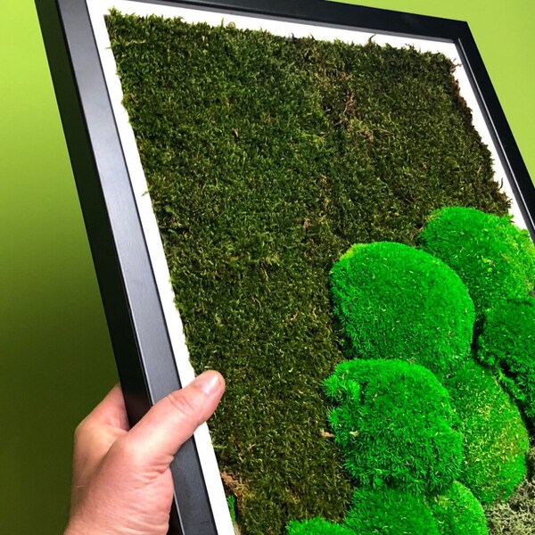 Moss Frame - Etsy
