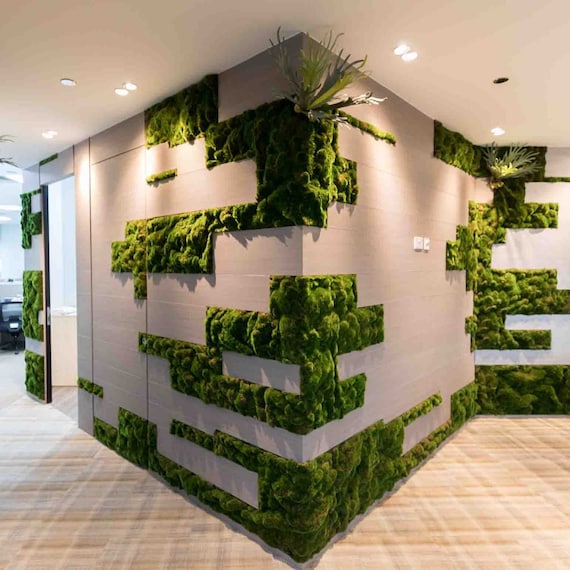 Interior Moss Wall