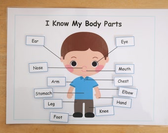 Body Parts - Etsy UK