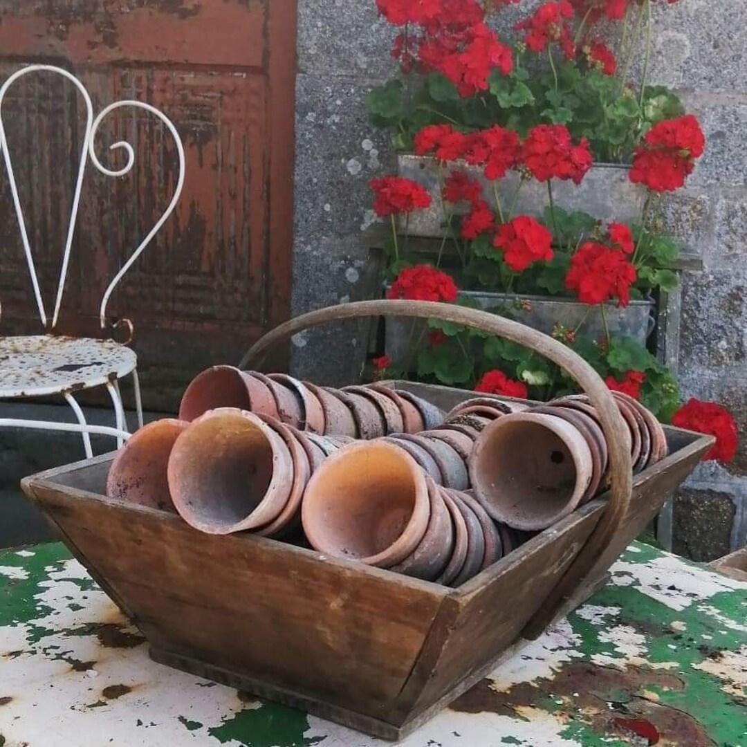 Antique French Tiny Terracotta Pots Set of 3 - Etsy