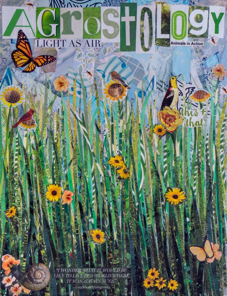 Study of Grass Fine Art Collage Print - Etsy