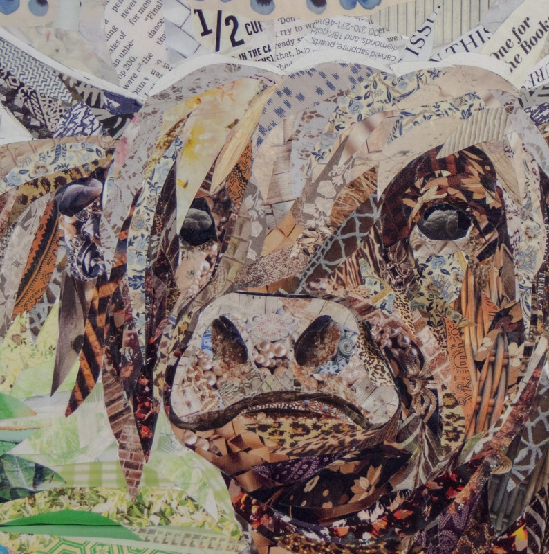 Highlands Cow Fine Art Collage Print - Etsy