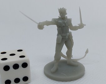 Swashbuckler Miniature - Etsy