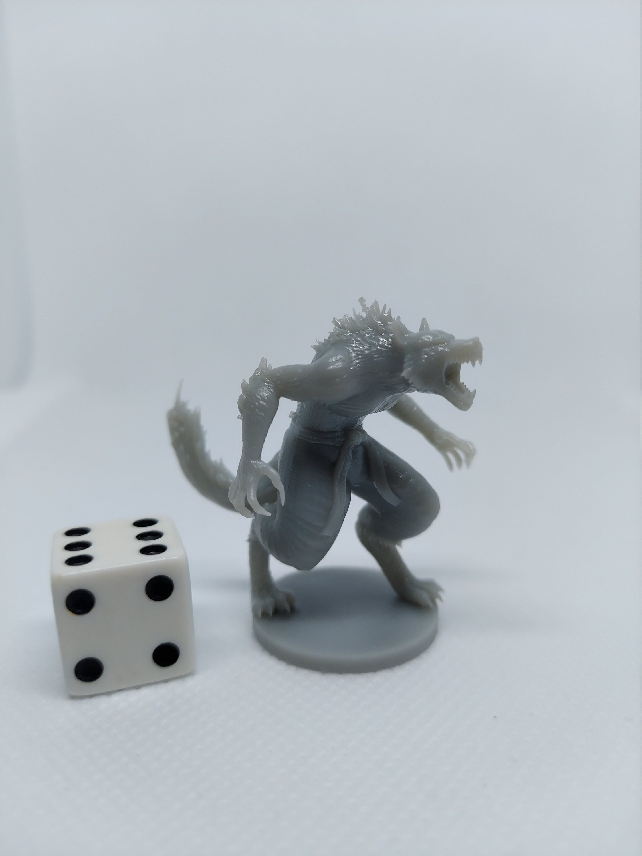 Werewolf Monk 3D Printed Miniature for Tabletop RPG - Etsy