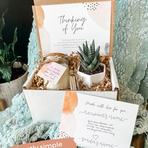 Thinking of You Care Package Care Package for Her Live Succulent Soy ...