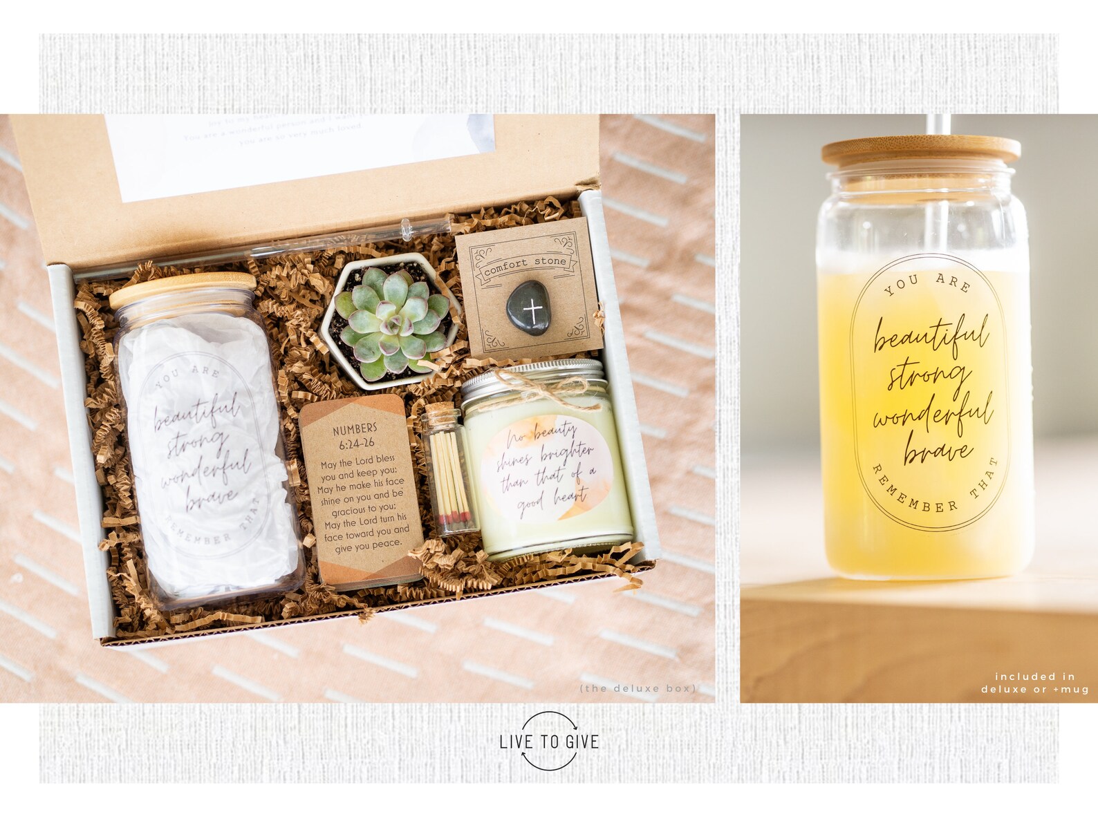 Thinking of You Care Package Care Package for Her Live Succulent Soy ...