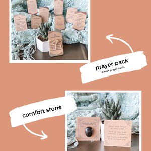 Thinking of You Care Package Care Package for Her Live Succulent Soy ...