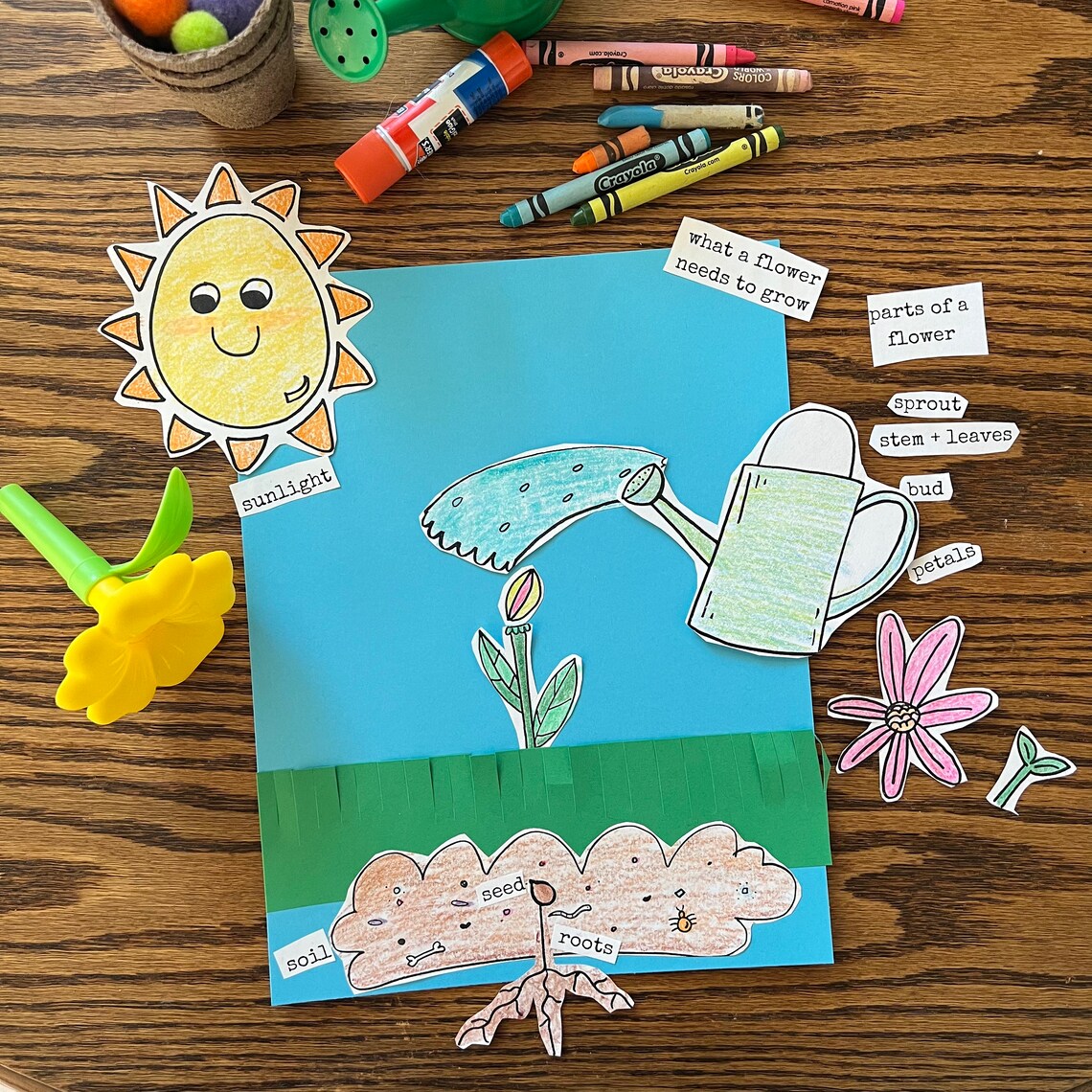 Flower Anatomy Printable | Parts of a Flower | Flower Study ...