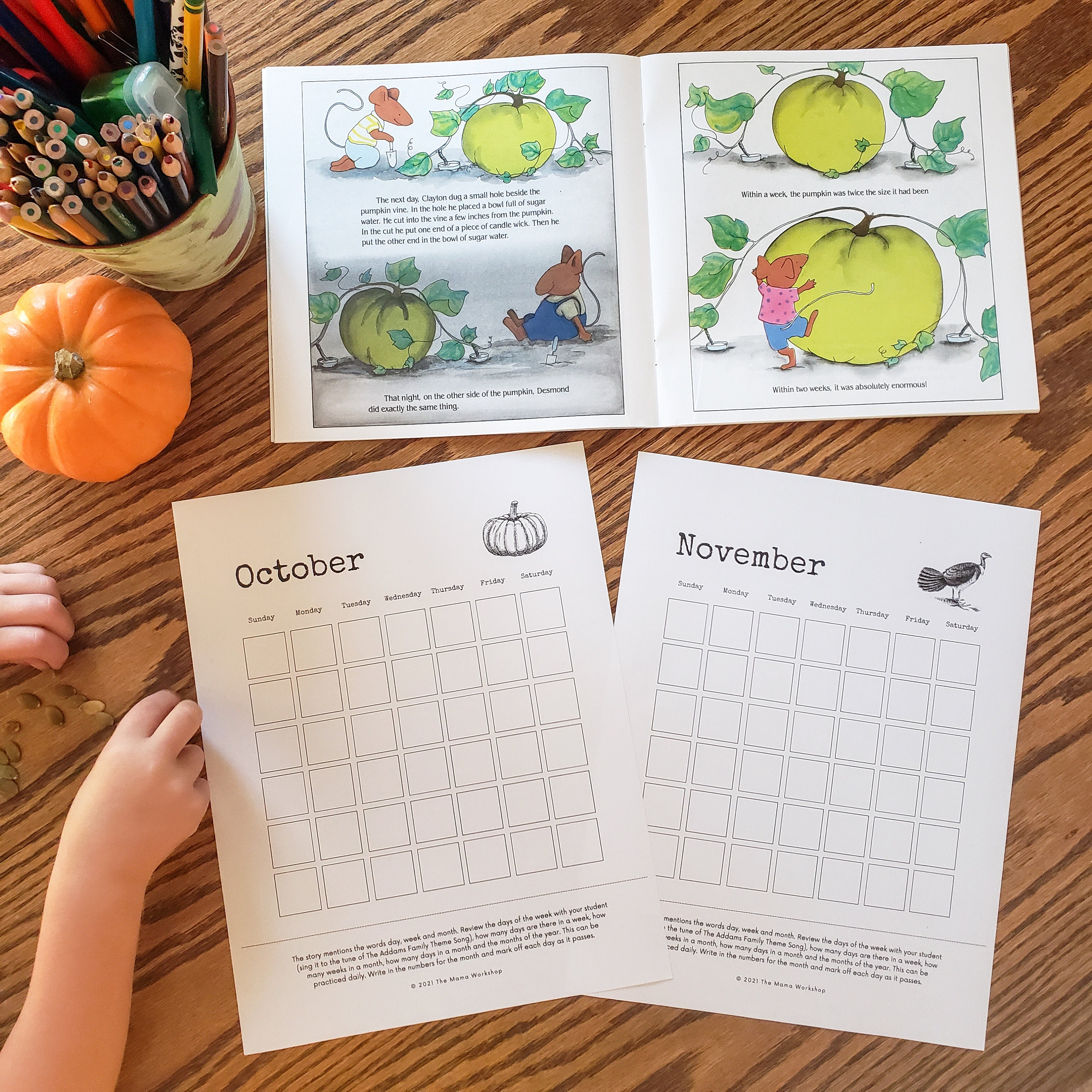 Pumpkin Unit | Pumpkin Lesson for Kids | Pumpkin Learning | Homeschool ...