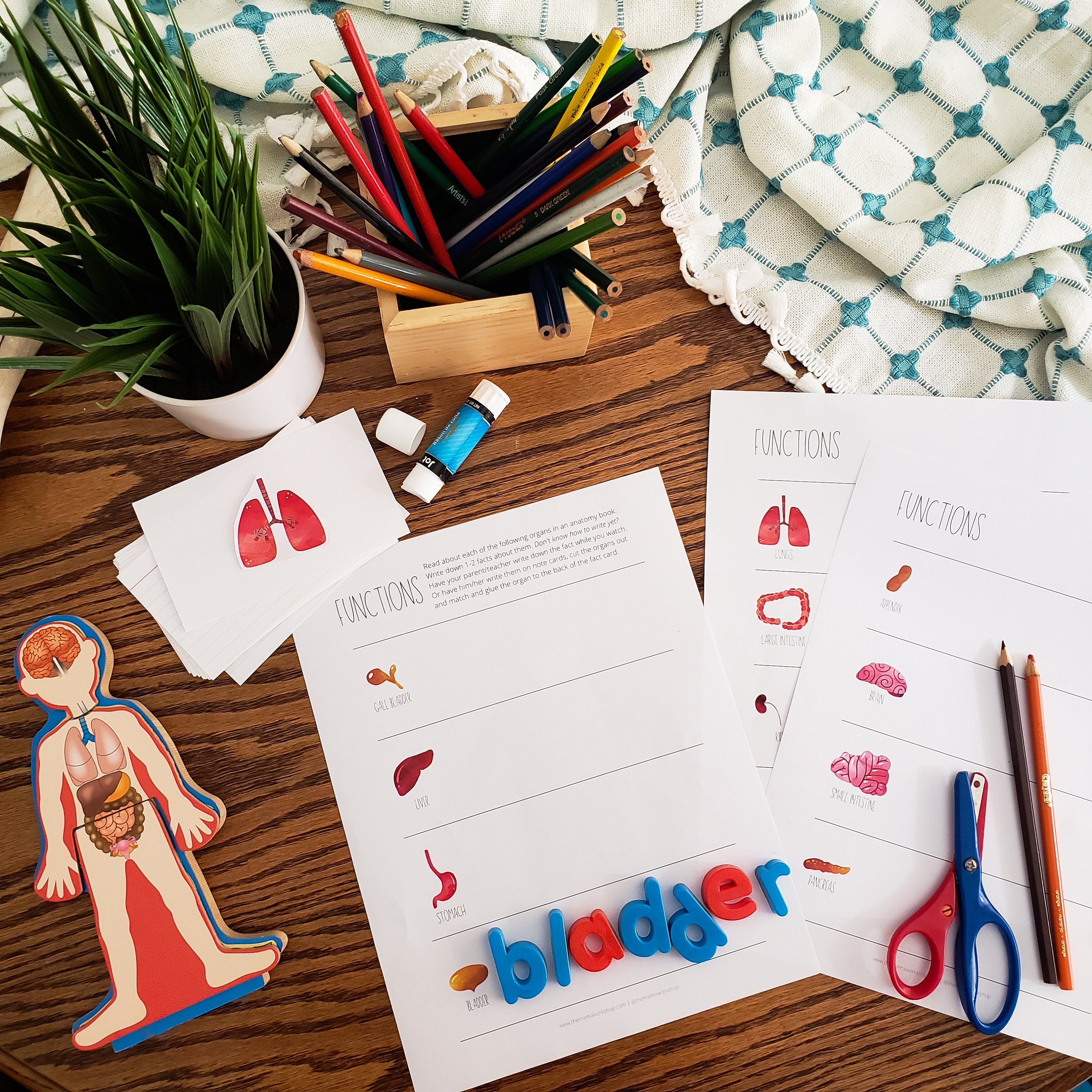 About Me Kids Science Lesson, Human Body Lesson, Printable, Homeschool ...