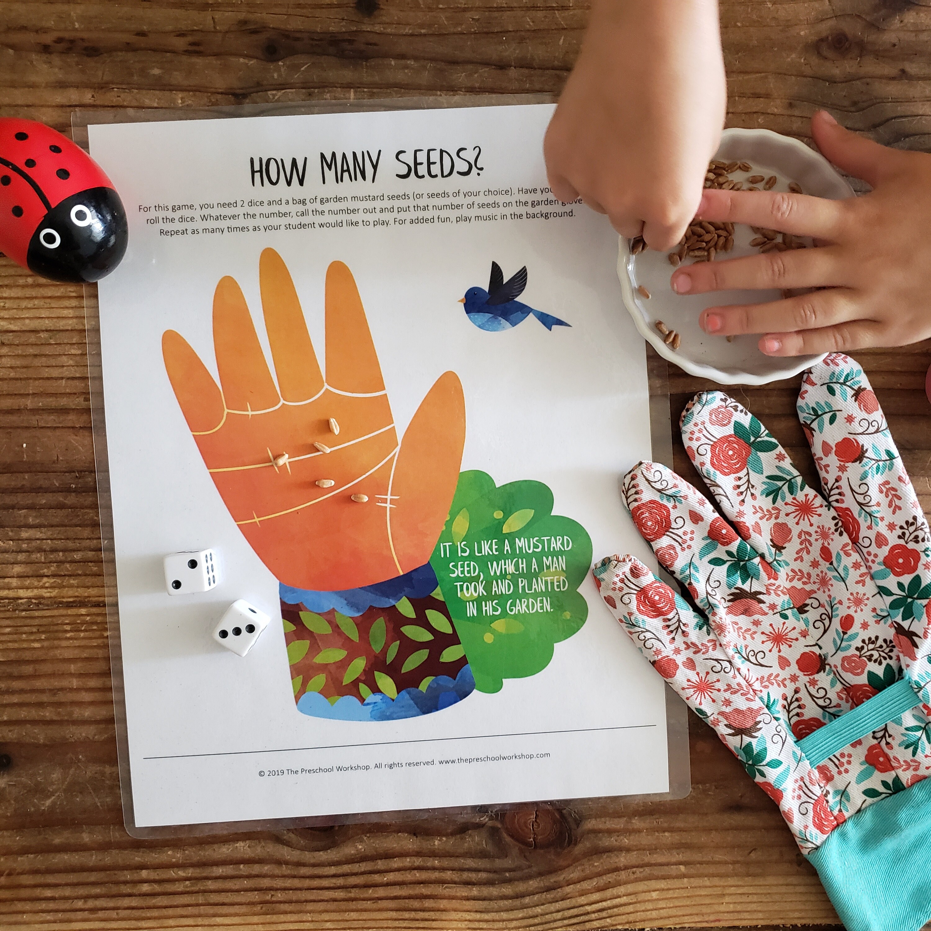 Garden Lesson for Kids, Garden Unit, Spring Unit, Scripture for Kids ...