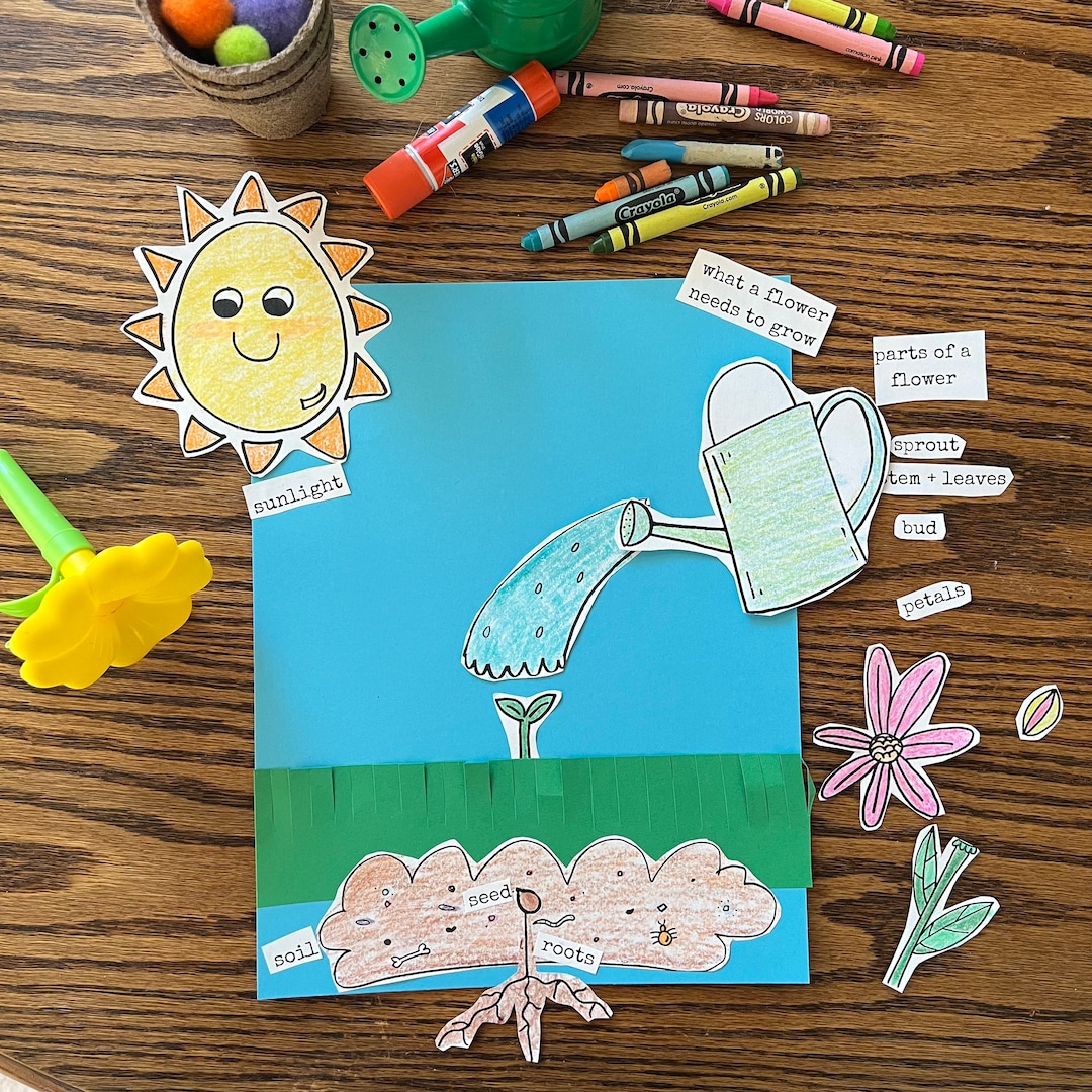 Flower Anatomy Printable | Parts of a Flower | Flower Study ...