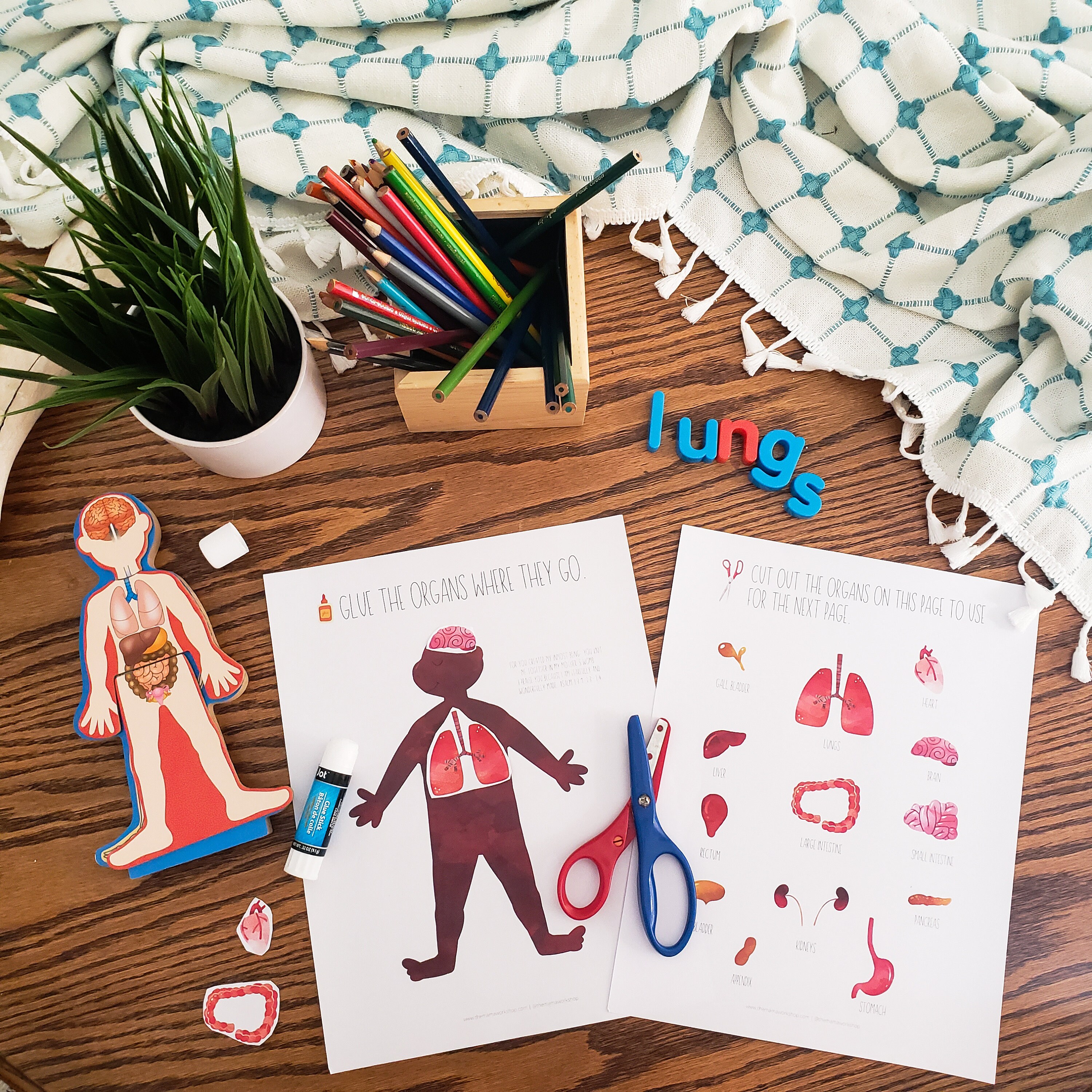 About Me Kids Science Lesson, Human Body Lesson, Printable, Homeschool ...