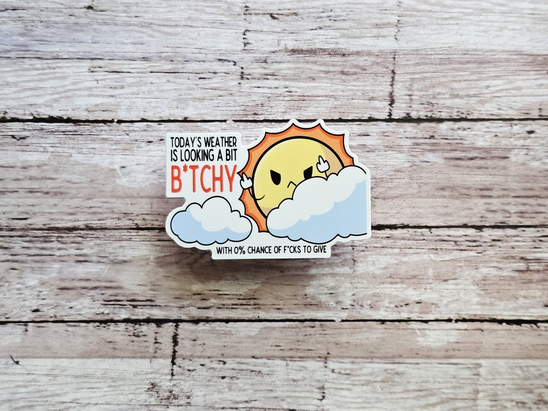 IDGAF Weather Meme Sticker - Etsy