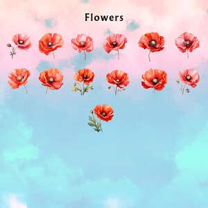 Poppy Birth Flower Clipart - Birth Flower Poppy Clipart - Poppies ...