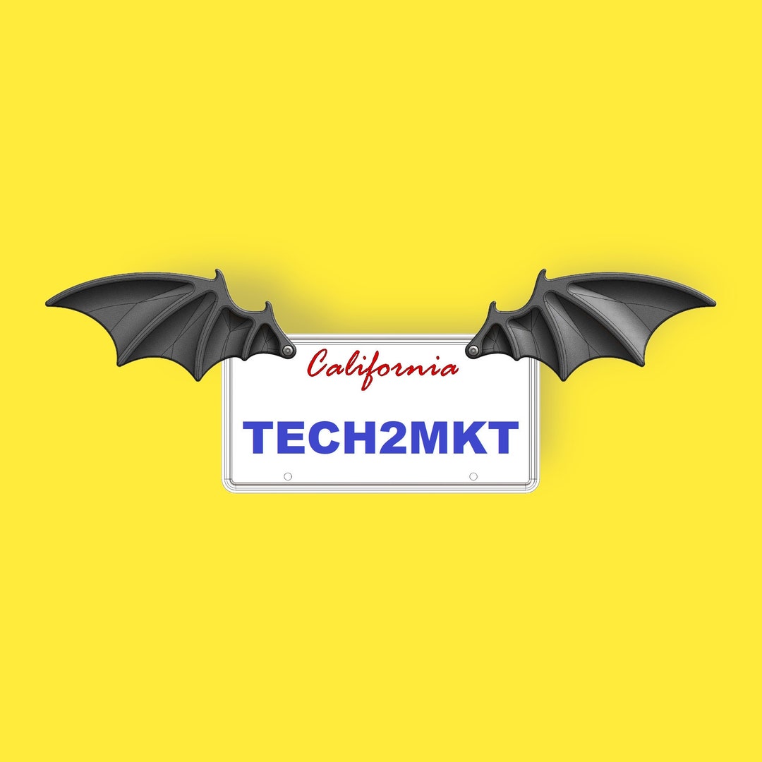 License Plate Bat Wings Decor Funny Halloween Accessory Car Halloween ...