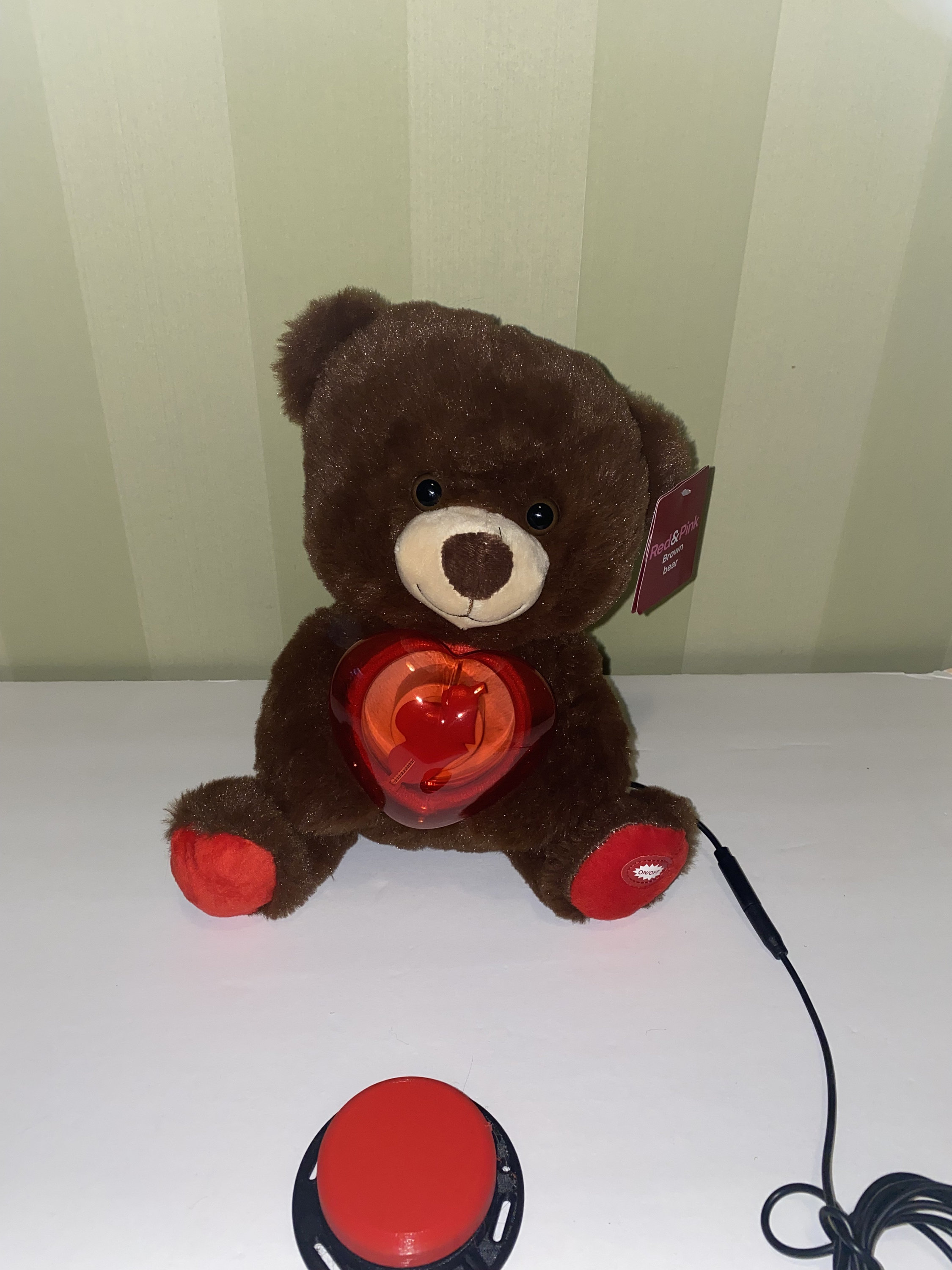 Switch Adapted Animated Plush Brown Bear. Speech Therapy, Occupational ...