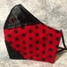 Ladybug Cloth Mask - Etsy