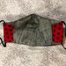 Ladybug Cloth Mask - Etsy