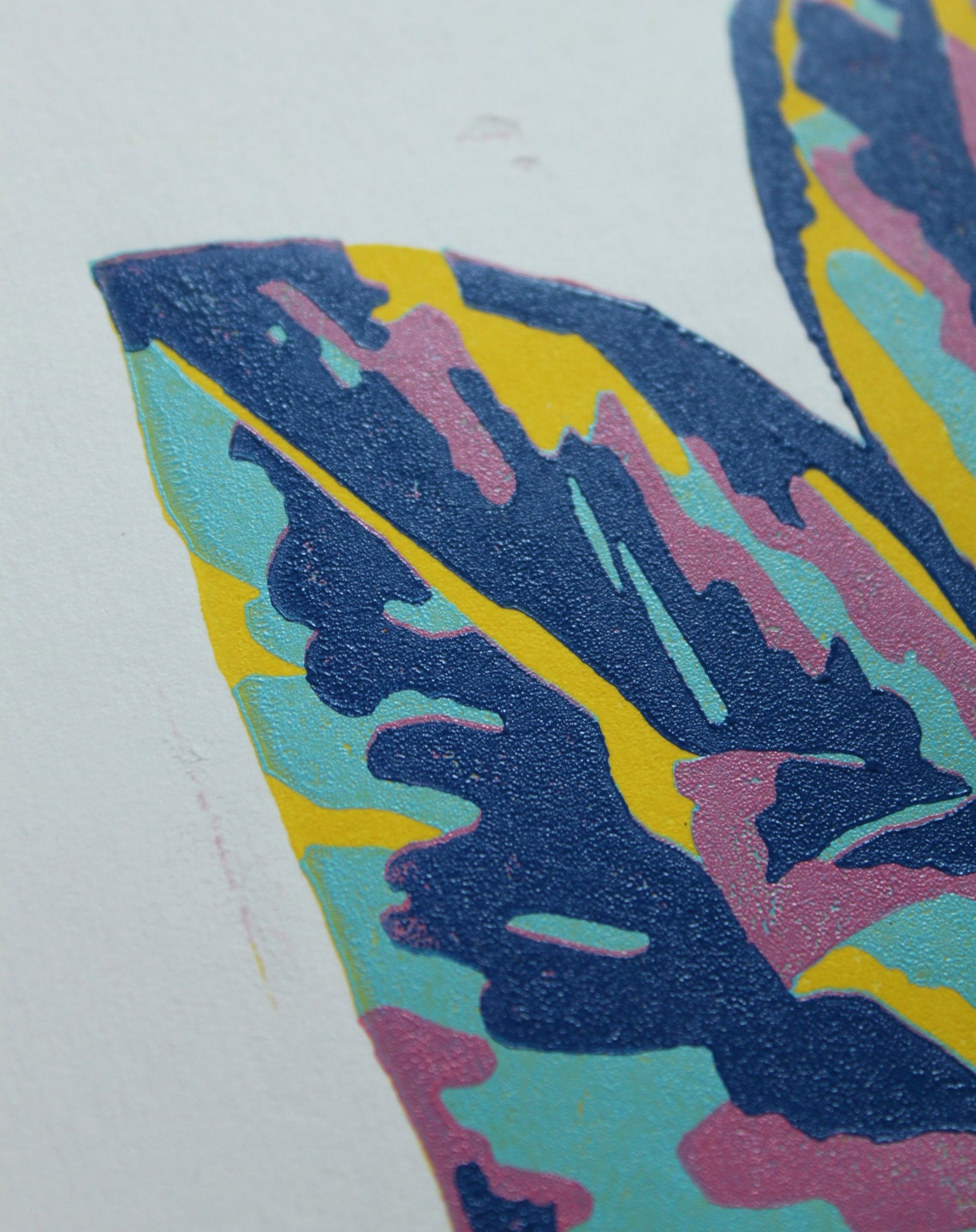 REDUCED Rubber Plant Artist Proof Print Multicolour - Etsy