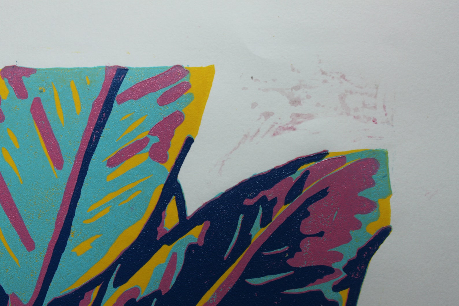 REDUCED Rubber Plant Artist Proof Print Multicolour - Etsy