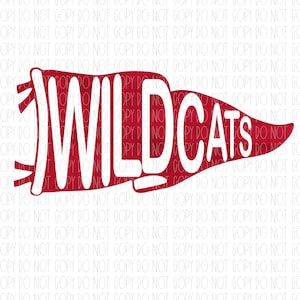 Custom Mascot Pennant Flag, Watercolor Pennant Flag, Vintage Pennant ...