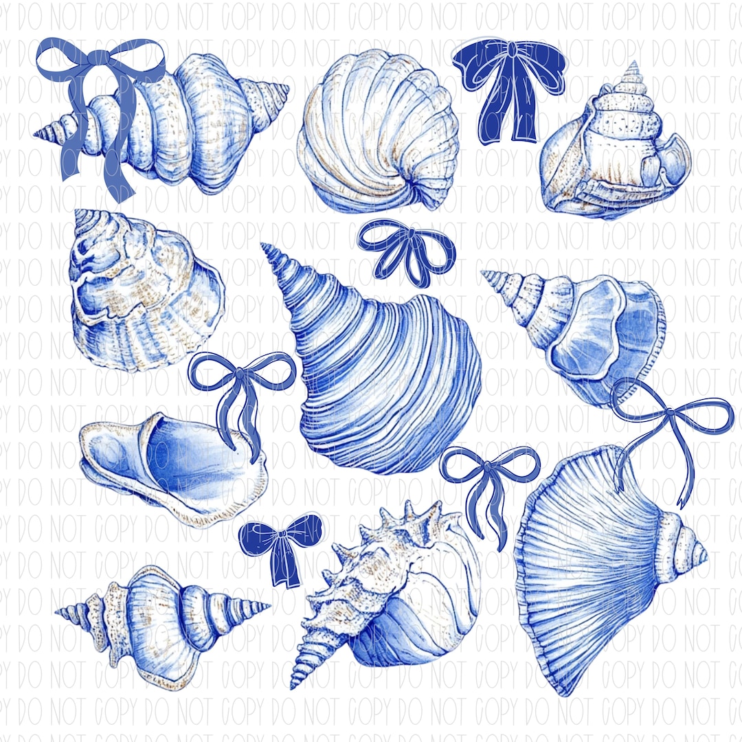 Coquette Seashells, Preppy Beach, Coastal, Summer, Girly Beach ...