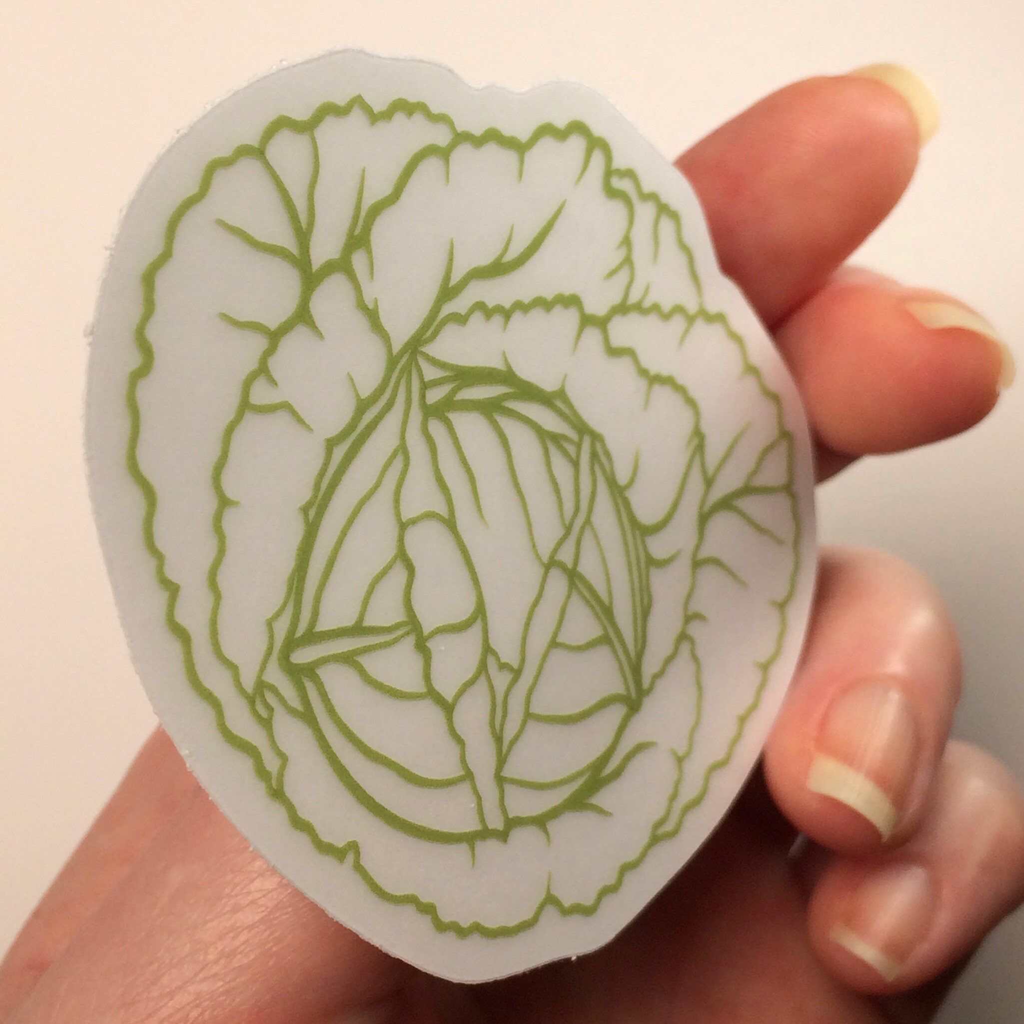 Green Cabbage Transparent Sticker 2.5 x 3 | Etsy
