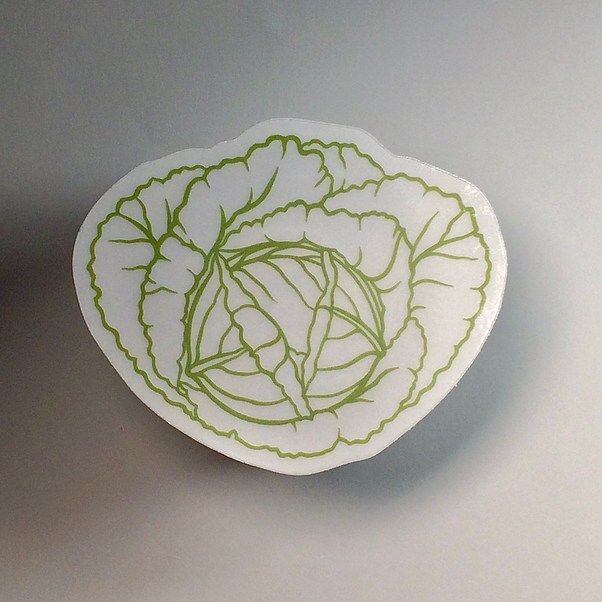 Green Cabbage Transparent Sticker 2.5 X 3 Original Line Drawing High ...