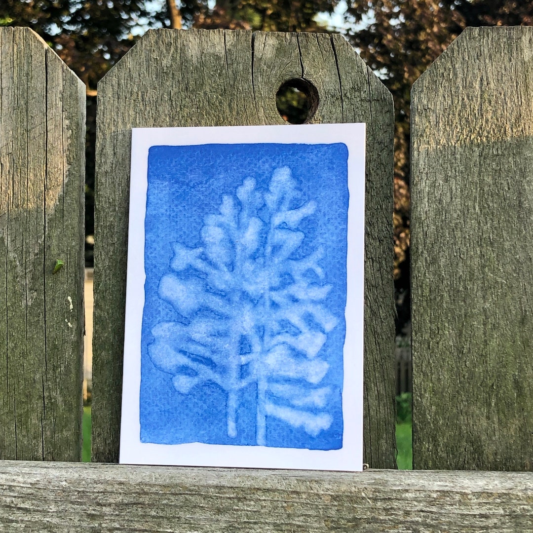 Greeting Card of ‘ghostly Tamerak’ by Jessica Lied. 4” X 6” Card With ...