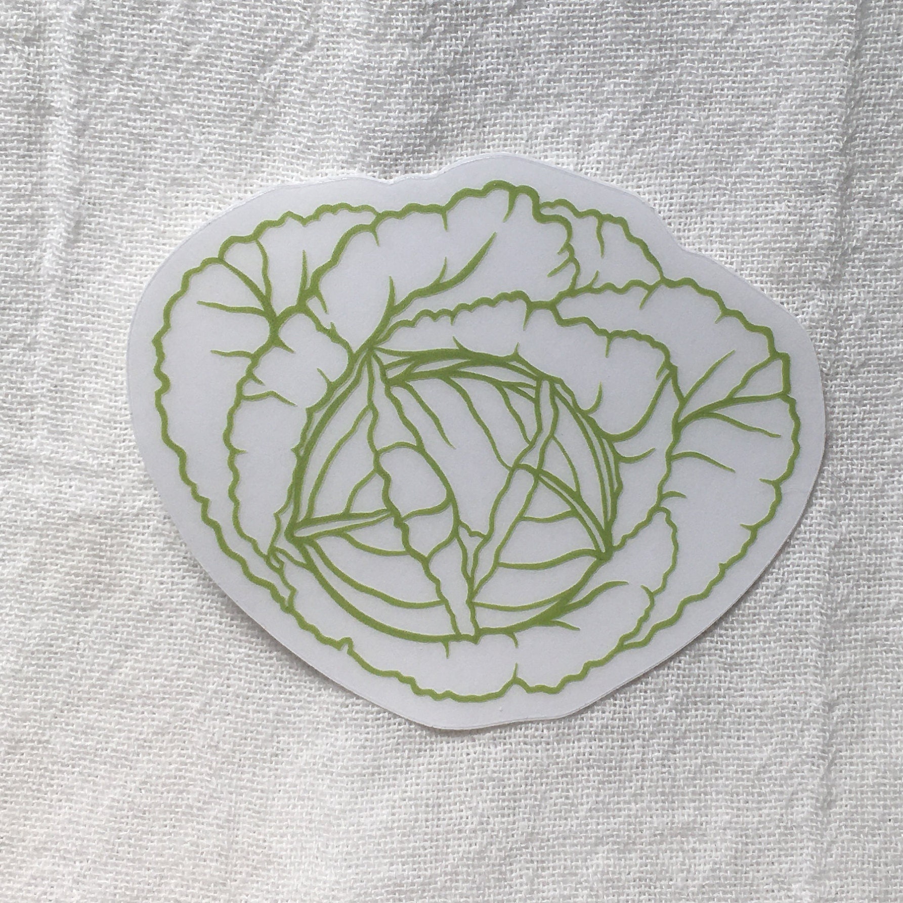 Green Cabbage Transparent Sticker 2.5 X 3 Original Line Drawing High ...