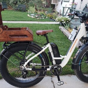 Rear Basket W/ Locking Lid for Bicycle or E-bike, Bike Trunk, Pannier ...