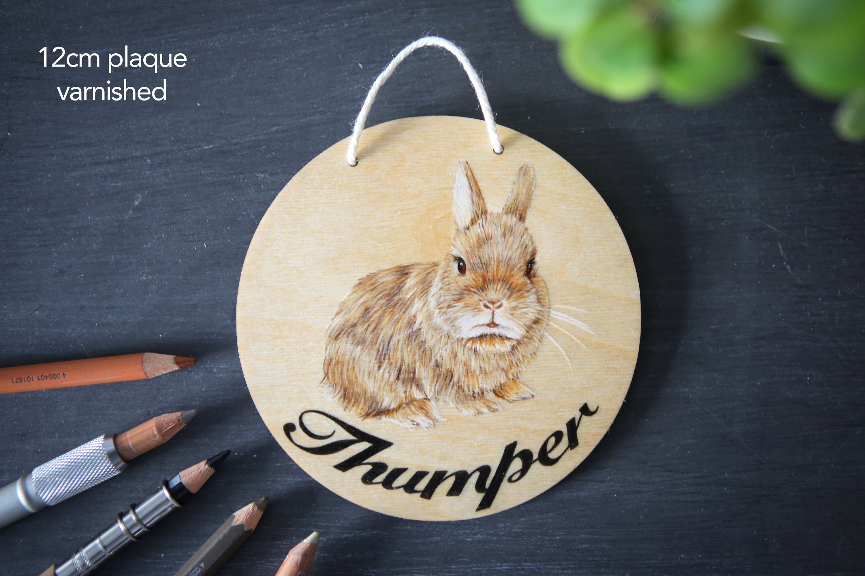 Pet Sign Hutch Cage Room Plaque Personalised Decor Gifts - Etsy UK