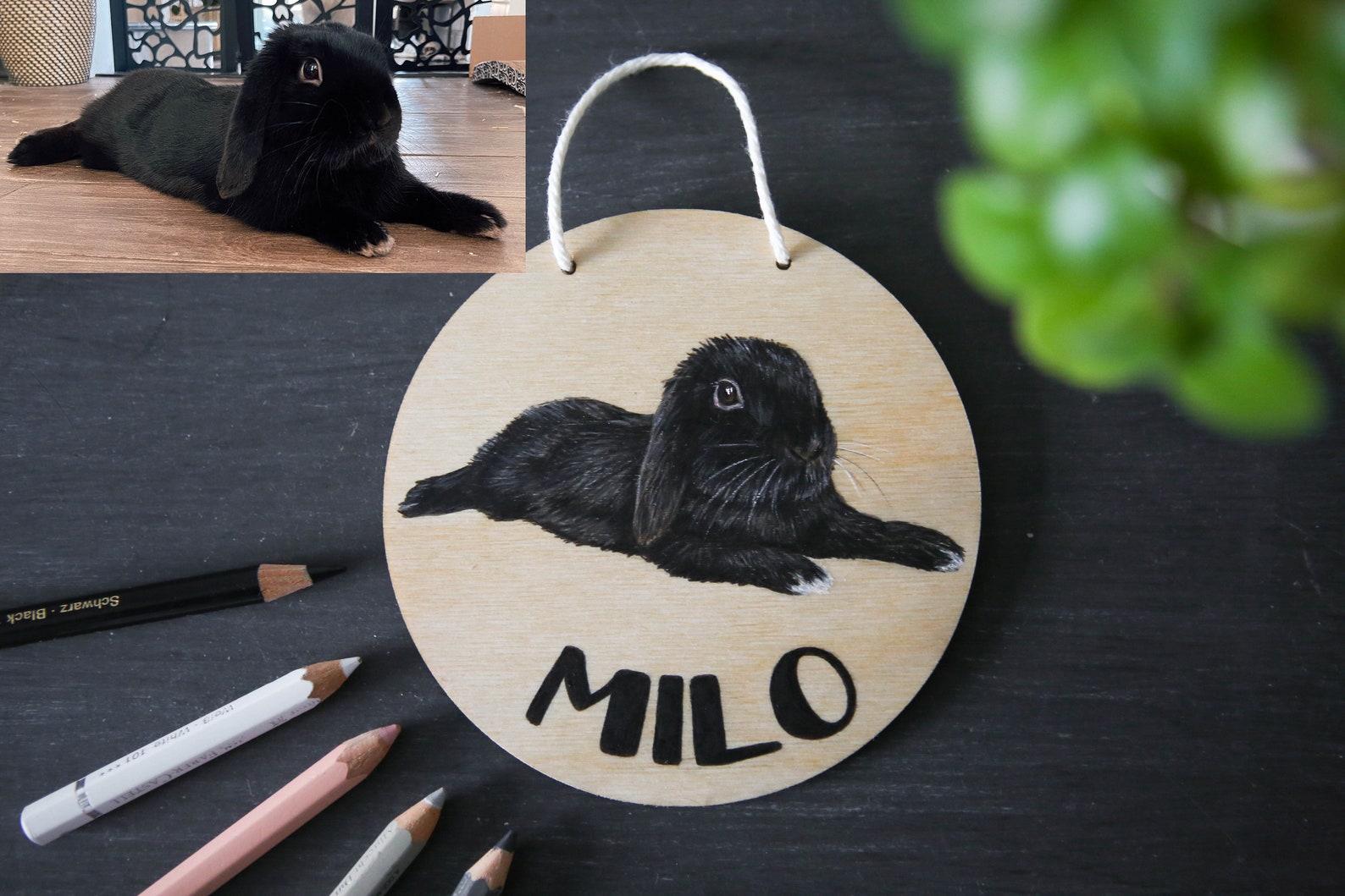 Rabbit Room Sign Wooden Name Hutch Cage Sign. Gifts for - Etsy