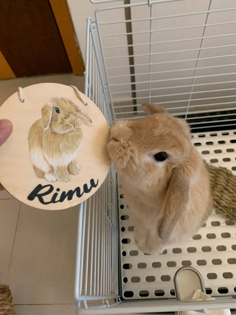 Rabbit Room Sign Wooden Name Hutch Cage Sign. Gifts for - Etsy
