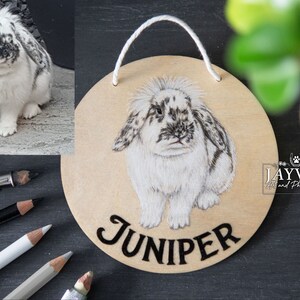 Rabbit Room Sign, Wooden Name Hutch Cage Sign. Gifts for Rabbit Lovers ...