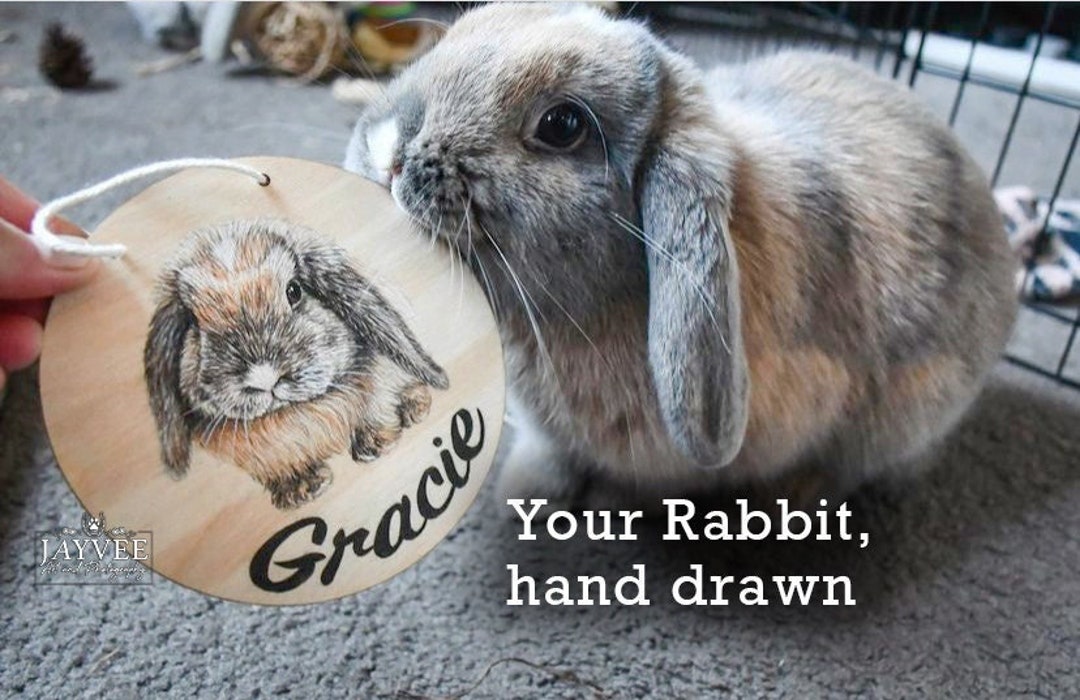 Rabbit Room Sign, Wooden Name Hutch Cage Sign. Gifts for Rabbit Lovers ...