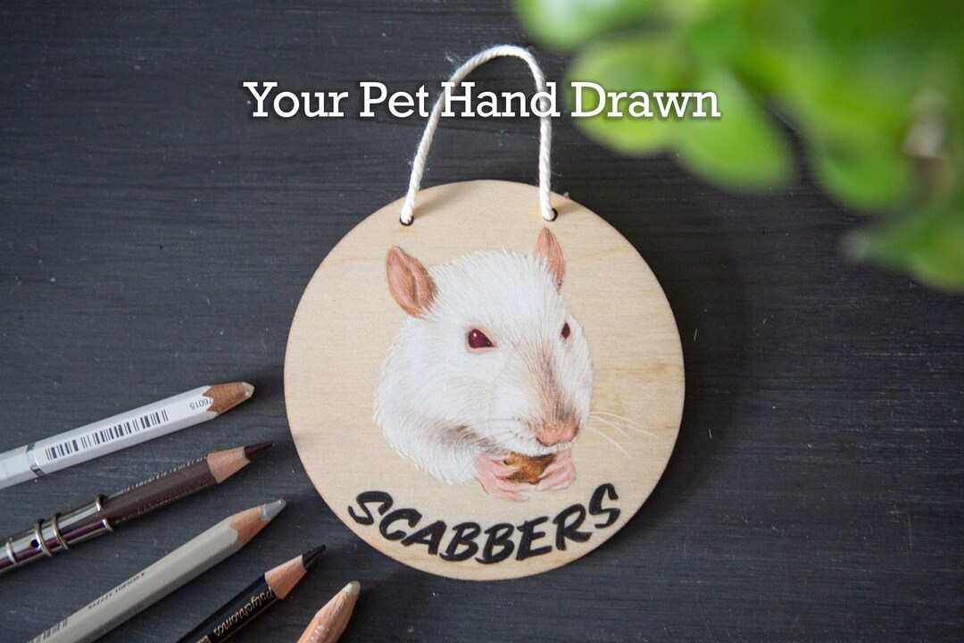 Rat Custom Sign, Cage Plaque. Gifts for Rat Lovers. Personalised Home ...