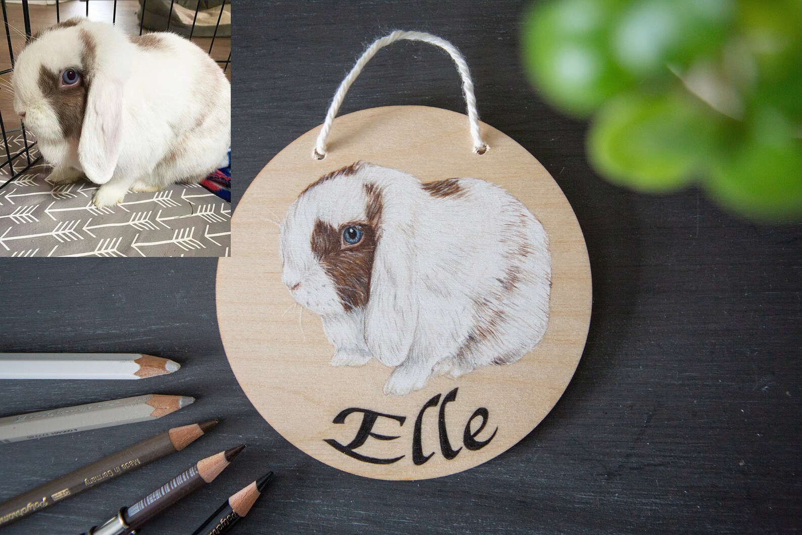 Rabbit Room Sign Wooden Name Hutch Cage Sign. Gifts for - Etsy