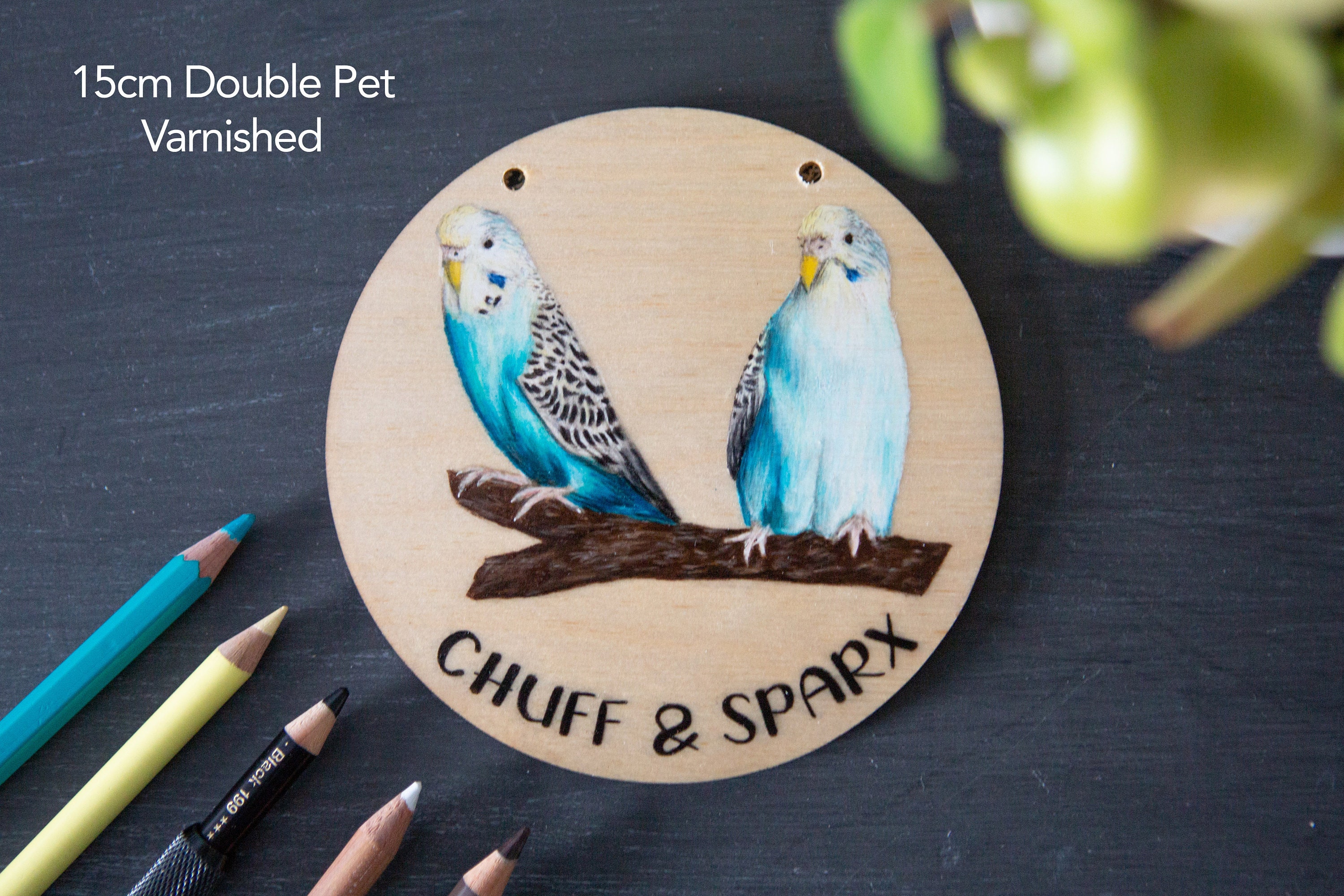 Pet Sign Hutch Cage Room Plaque Personalised Decor Gifts - Etsy UK