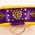 XL Bully Collar, American Bully Padded Collar, Pocket Bully Collar ...