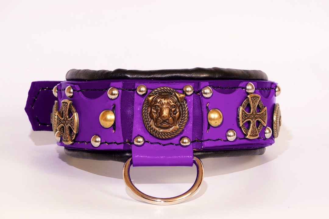 Bully Xl Collar, Purple Dog Collar, American Bully XL, Pitbull Collar ...