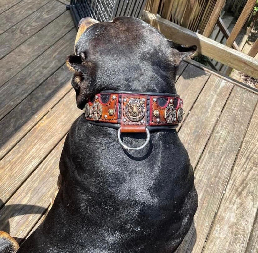 Handmade Leather American Bully Collar: Padded XL Dog Collar - Etsy