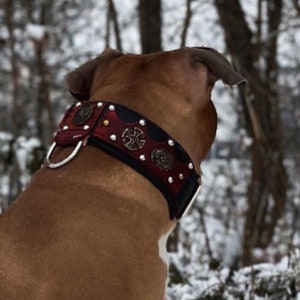 American Bully Leather Collar, Bully Collar, Bully Dog Collar, American ...