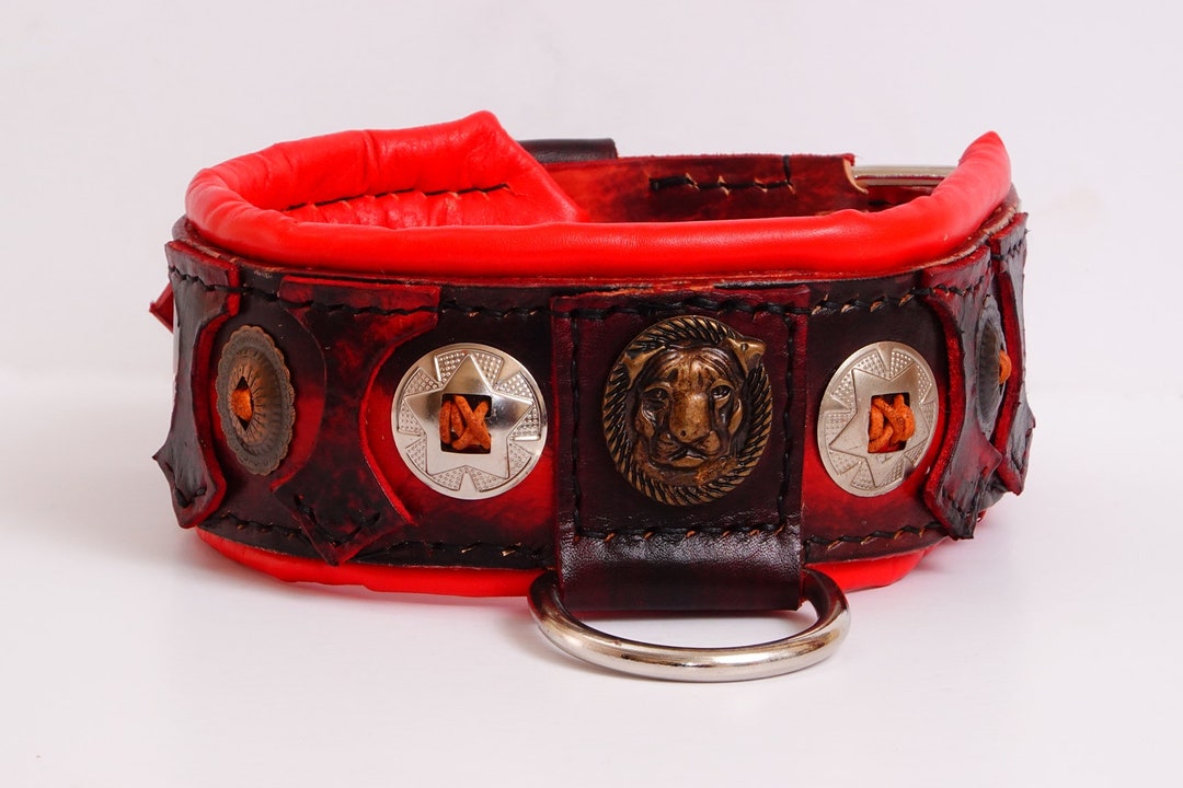 XL Bully Leather Dog Collar, 3" Bully Collar With American Star Conchos ...