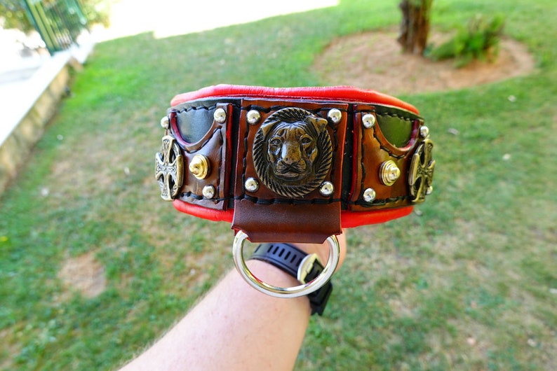 American Bully Leather Dog Collar Handmade Bully Collar - Etsy