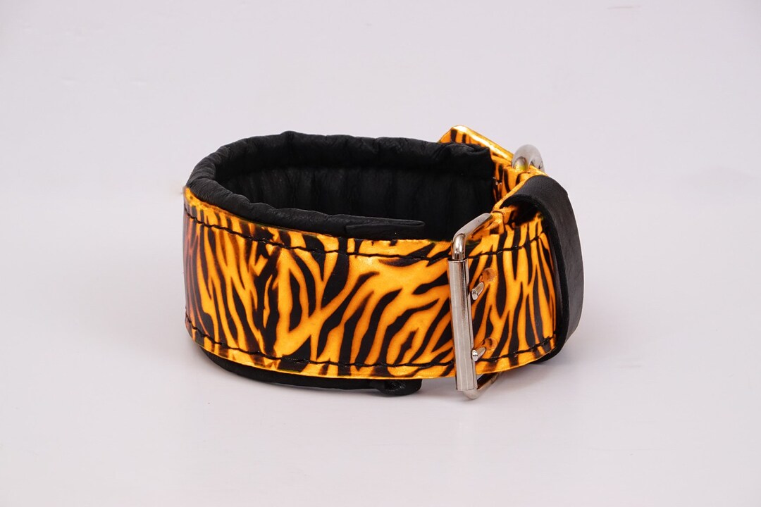 Leather Dog Collar Zebra Lines and Soft Padding, Cane Corso Collar ...