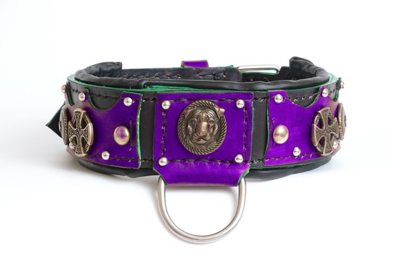 Pocket Bully Collar American Bully XL Collar Bully Collar - Etsy