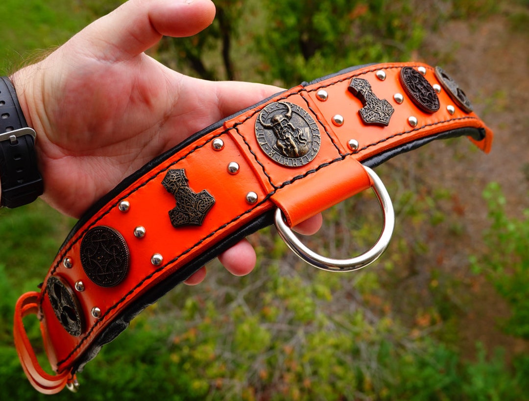 Orange Leather Viking Dog Collar: Embossed Odin, Thor's Hammer - Etsy
